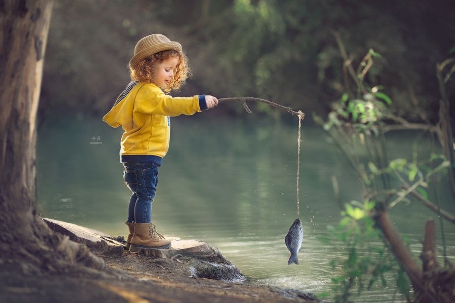 שירי וניגוני חנוכה במגוון סגנונות - סטים | פרוג - הפורטל החרדי המקצועי ...