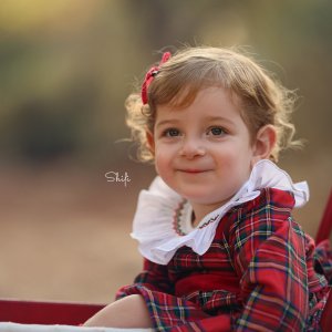 צילום שיפי 0548517049 (44).jpg | פרוג - הפורטל החרדי המקצועי הגדול ביותר